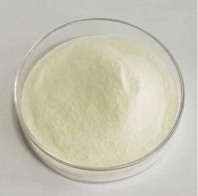 오메가 3 해조류 DHA 분말 DHA 10% CWS 미세 해조류 DHA 분말